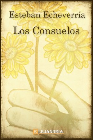 Libro Los consuelos en PDF y ePub - Elejandría